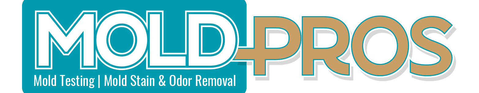 Mold Remediation Services Maine | Mold Removal Company In Maine